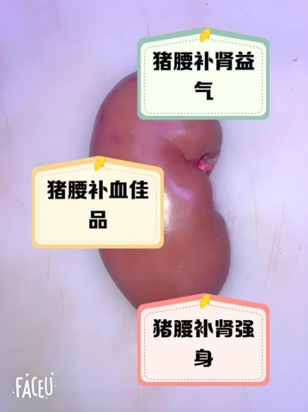 猪腰是什么器官_猪腰子的功效与作用-第1张图片-山城妙识 猪腰是什么器官_猪腰子的功效与作用-第1张图片-山城妙识