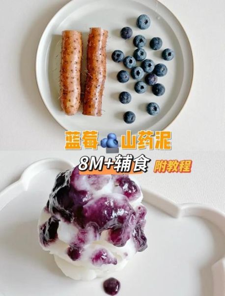 蓝莓山药泥宝宝辅食怎么做_蓝莓山药泥几个月能吃-第1张图片-山城妙识