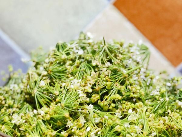 韭菜花怎么腌制_韭菜花酱的做法大全-第2张图片-山城妙识