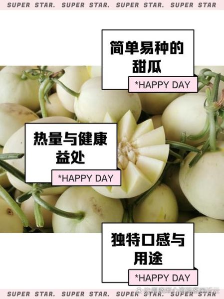 伊丽莎白瓜是哈密瓜吗_口感区别与选购技巧-第1张图片-山城妙识