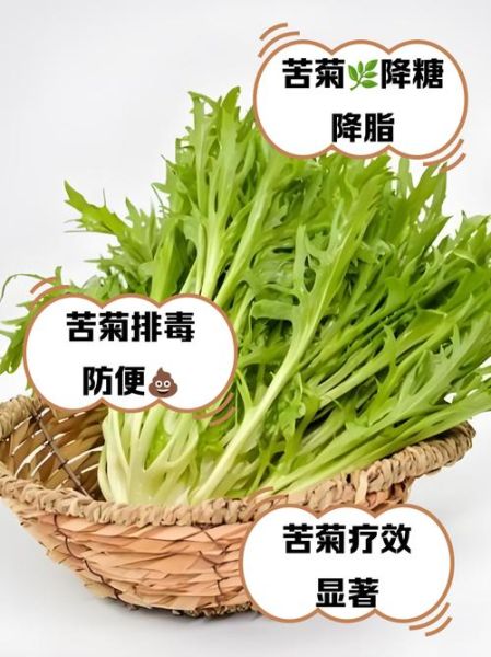 苦苣和苦菊的区别_苦苣苦菊哪个更苦-第1张图片-山城妙识