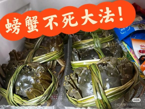 买的螃蟹怎么存放不死_活蟹保存技巧-第2张图片-山城妙识 买的螃蟹怎么存放不死_活蟹保存技巧-第2张图片-山城妙识