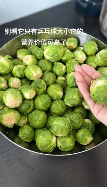 甘蓝菜是什么菜_甘蓝菜图片长什么样-第2张图片-山城妙识 甘蓝菜是什么菜_甘蓝菜图片长什么样-第2张图片-山城妙识