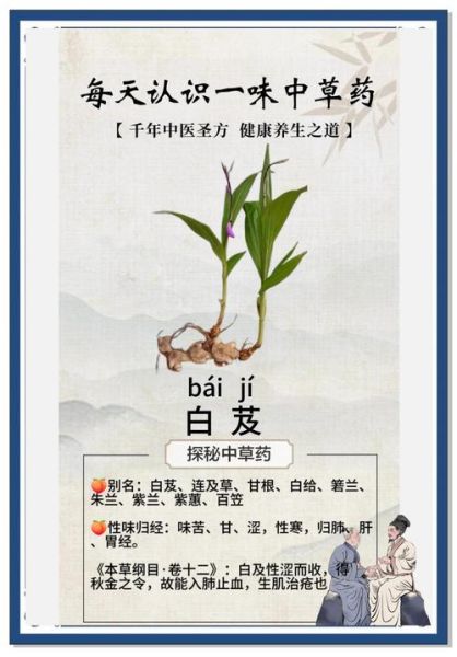 白芨能治胃病吗_白芨治胃病怎么用-第1张图片-山城妙识