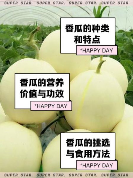 芝麻香瓜的功效与作用_芝麻香瓜怎么吃最营养-第2张图片-山城妙识