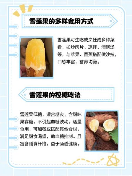 雪莲果怎么吃_雪莲果的正确吃法大全-第1张图片-山城妙识