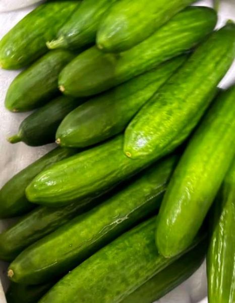 荷兰瓜是黄瓜吗_荷兰瓜怎么吃最好-第3张图片-山城妙识