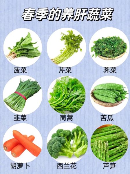 养肝护肝吃什么蔬菜_养肝护肝的九大蔬菜有哪些-第3张图片-山城妙识