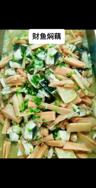 财鱼焖藕怎么做才正宗_财鱼焖藕的家常做法-第1张图片-山城妙识