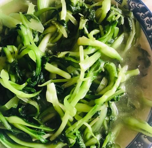 炒青菜怎么炒才脆_炒青菜用大火还是小火-第1张图片-山城妙识