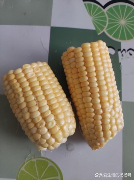鲜玉米的功效与作用_鲜玉米怎么吃最营养-第3张图片-山城妙识