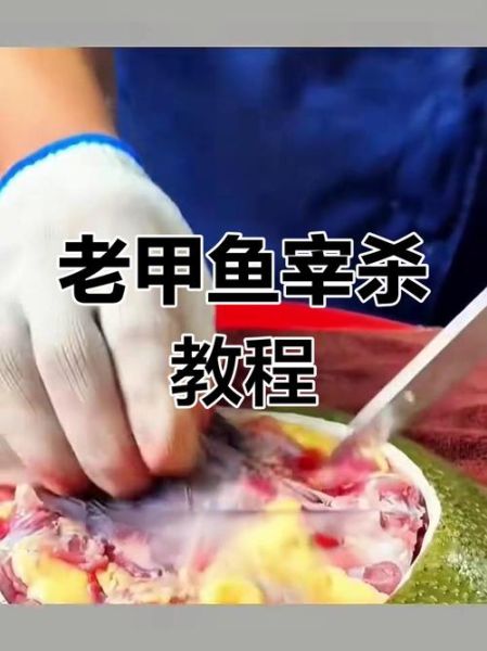 怎么杀甲鱼_甲鱼宰杀步骤-第3张图片-山城妙识