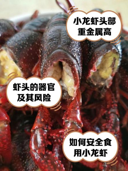 龙虾哪些部位不能吃_图解说明-第1张图片-山城妙识