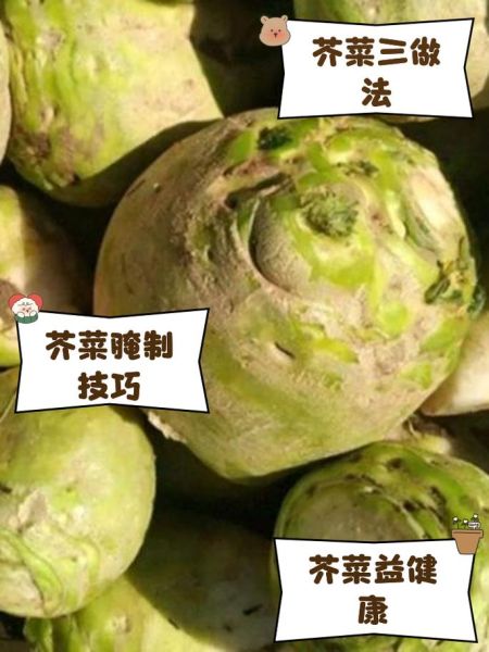 芥菜疙瘩图片_芥菜疙瘩怎么做好吃-第1张图片-山城妙识 芥菜疙瘩图片_芥菜疙瘩怎么做好吃-第1张图片-山城妙识