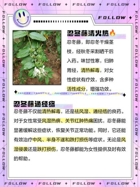 忍冬藤的功效与作用_忍冬藤主治什么病-第1张图片-山城妙识