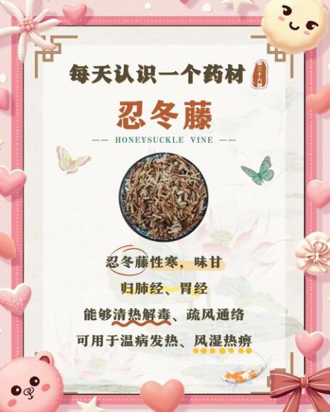 忍冬藤的功效与作用_忍冬藤主治什么病-第2张图片-山城妙识