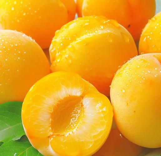 黄桃的功效与作用_黄桃可以减肥吗-第2张图片-山城妙识