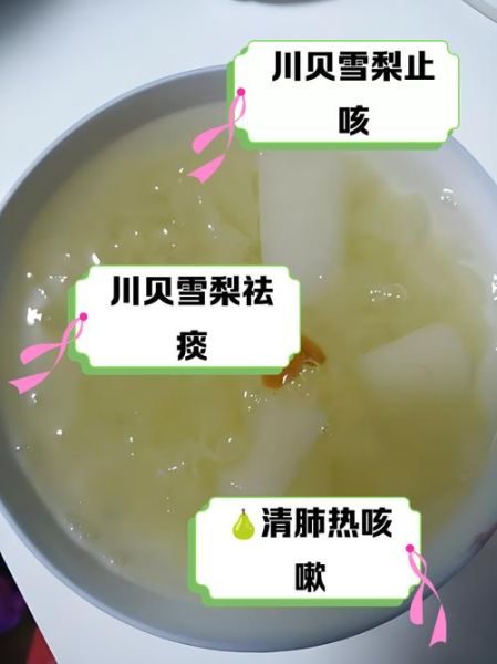 化痰止咳汤怎么做_川贝雪梨汤的做法与功效-第1张图片-山城妙识
