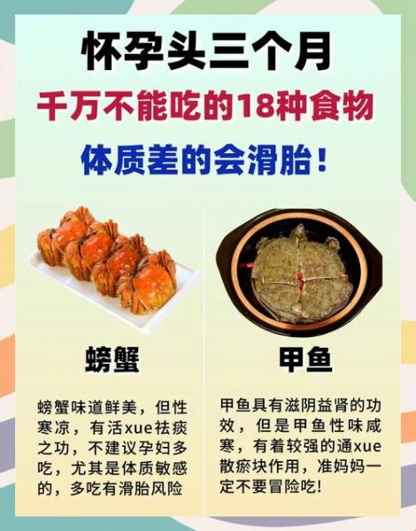 怀孕前三个月注意事项_饮食禁忌有哪些-第1张图片-山城妙识 怀孕前三个月注意事项_饮食禁忌有哪些-第1张图片-山城妙识