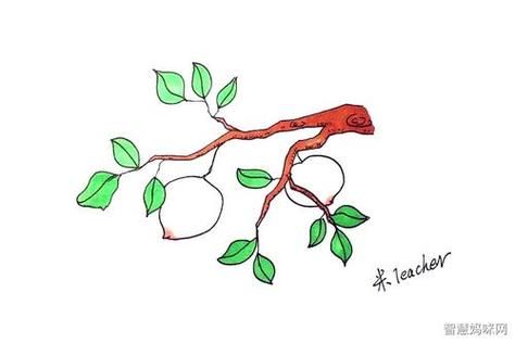 桃树图片卡通怎么画_桃树卡通简笔画教程-第3张图片-山城妙识