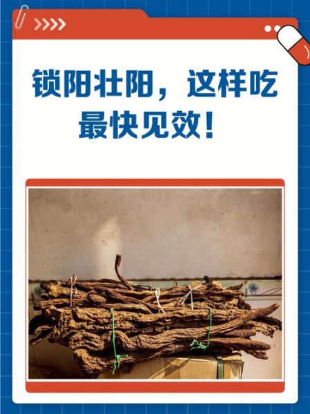 锁阳怎么吃效果最好_锁阳泡酒还是炖汤-第3张图片-山城妙识