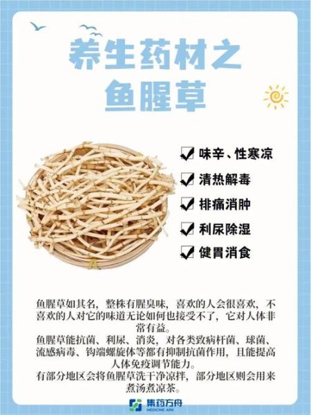 女人经常吃鱼腥草好吗_鱼腥草对女性的副作用-第3张图片-山城妙识