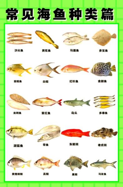 鱼的种类有哪些_常见淡水鱼海水鱼大全-第1张图片-山城妙识