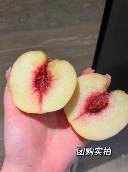 桃子怎么保存_桃子可以冷冻吗-第3张图片-山城妙识