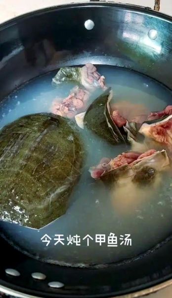 甲鱼汤怎么煲_甲鱼汤的做法大全视频-第3张图片-山城妙识