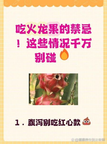 吃红心火龙果的禁忌_红心火龙果不能和什么一起吃-第1张图片-山城妙识 吃红心火龙果的禁忌_红心火龙果不能和什么一起吃-第1张图片-山城妙识