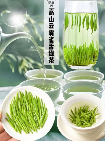 绿茶有哪些品种_绿茶都有什么茶-第2张图片-山城妙识 绿茶有哪些品种_绿茶都有什么茶-第2张图片-山城妙识