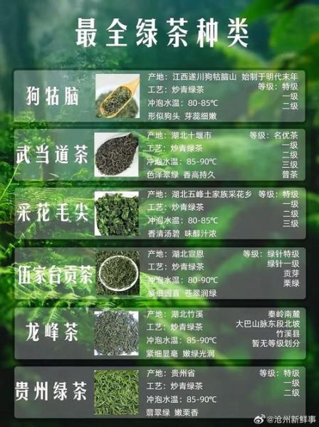 绿茶有哪些品种_绿茶都有什么茶-第3张图片-山城妙识 绿茶有哪些品种_绿茶都有什么茶-第3张图片-山城妙识