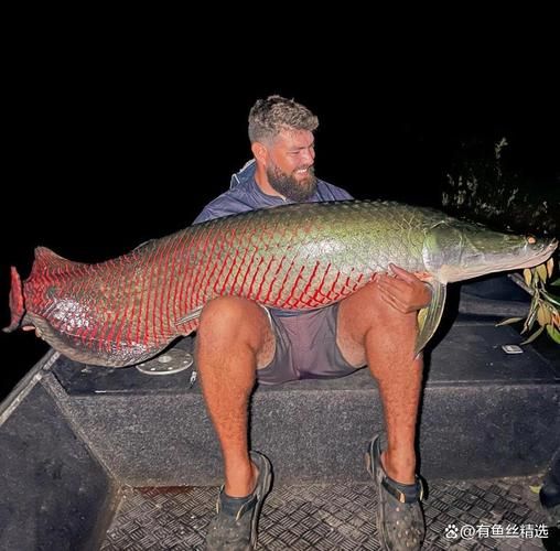 巨骨舌鱼图片_巨骨舌鱼长什么样-第2张图片-山城妙识