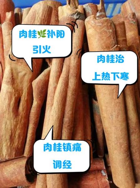 肉桂能提高性功能吗_肉桂壮阳怎么吃-第1张图片-山城妙识