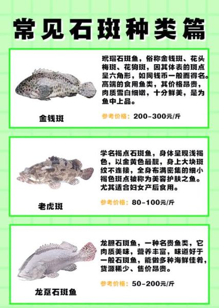 四大名贵石斑鱼价格_如何区分-第1张图片-山城妙识