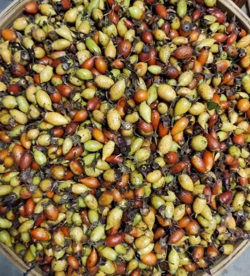 金樱子泡酒配方比例_金樱子泡酒多久可以喝-第1张图片-山城妙识