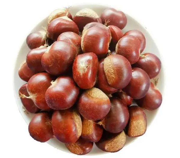 板栗热量高吗_板栗吃了会发胖吗-第2张图片-山城妙识