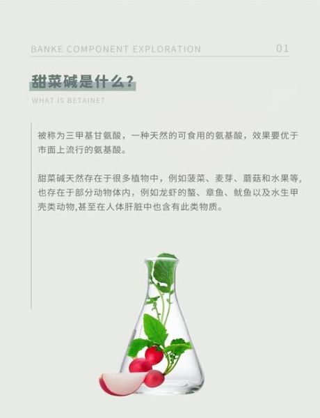 甜菜碱对皮肤的作用_甜菜碱可以天天用吗-第2张图片-山城妙识