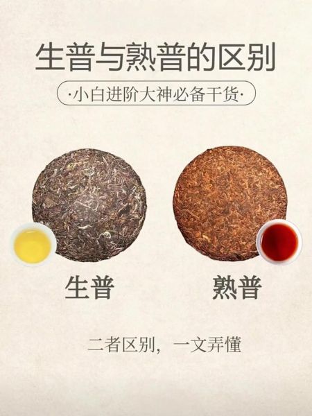 中国十大普洱茶有哪些_如何辨别真假-第2张图片-山城妙识