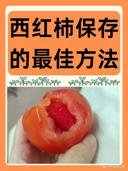 番茄怎么保存时间长_番茄可以放冰箱吗-第1张图片-山城妙识 番茄怎么保存时间长_番茄可以放冰箱吗-第1张图片-山城妙识