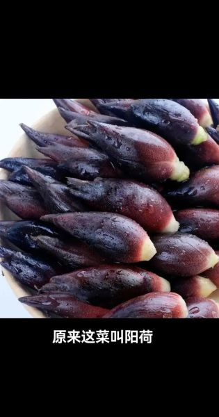 阳荷怎么吃_阳荷的做法大全-第1张图片-山城妙识