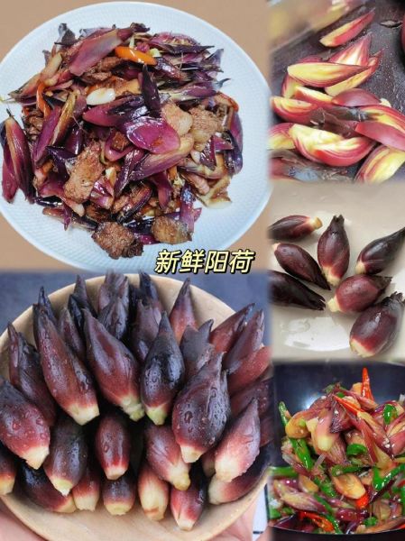 阳荷怎么吃_阳荷的做法大全-第3张图片-山城妙识