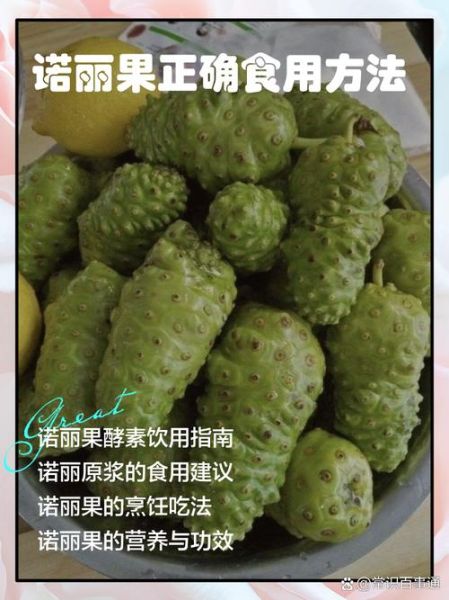 诺丽果的功效与作用_诺丽果怎么吃效果最好-第3张图片-山城妙识 诺丽果的功效与作用_诺丽果怎么吃效果最好-第3张图片-山城妙识