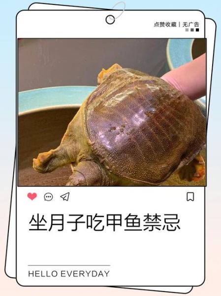 女人吃甲鱼的功效与作用_女人吃甲鱼有什么禁忌-第2张图片-山城妙识