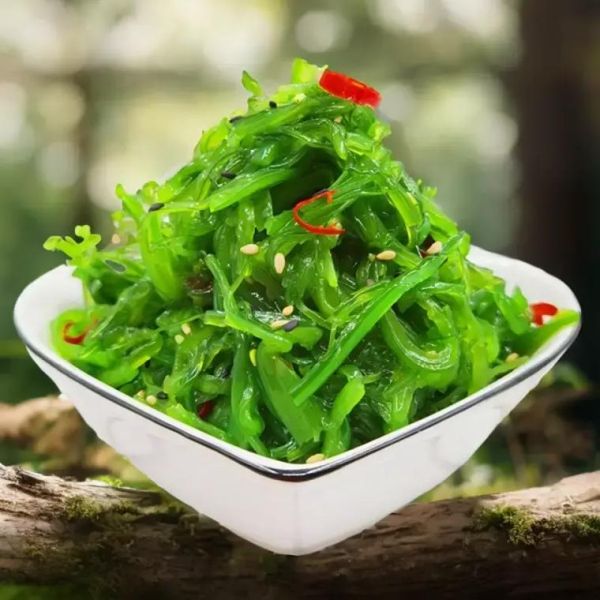 海白菜怎么做好吃_海白菜的营养价值-第3张图片-山城妙识 海白菜怎么做好吃_海白菜的营养价值-第3张图片-山城妙识