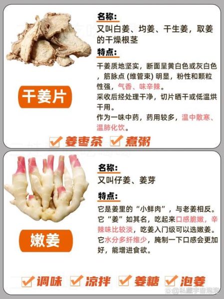 生姜的功效与作用_生姜的副作用有哪些-第1张图片-山城妙识 生姜的功效与作用_生姜的副作用有哪些-第1张图片-山城妙识