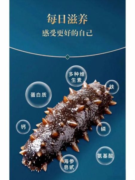 新鲜海参的营养价值_新鲜海参的功效与作用-第2张图片-山城妙识