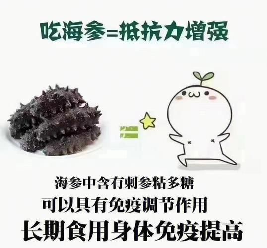 新鲜海参的营养价值_新鲜海参的功效与作用-第3张图片-山城妙识