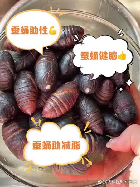 蚕蛹图片大全_蚕蛹营养价值有哪些-第2张图片-山城妙识 蚕蛹图片大全_蚕蛹营养价值有哪些-第2张图片-山城妙识
