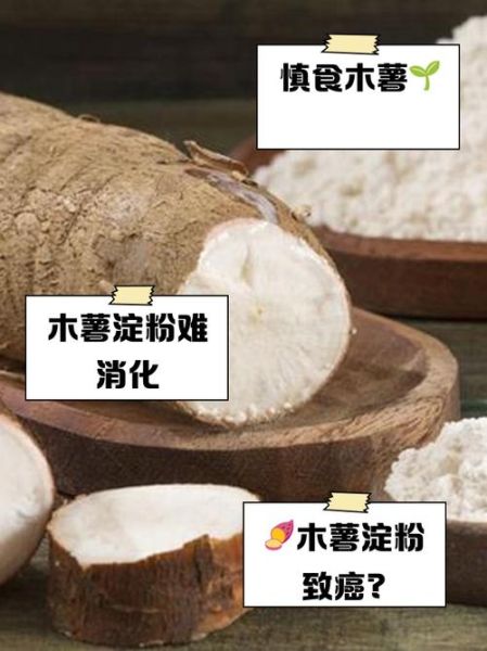 木薯淀粉的功效与作用禁忌_木薯淀粉什么人不能吃-第1张图片-山城妙识